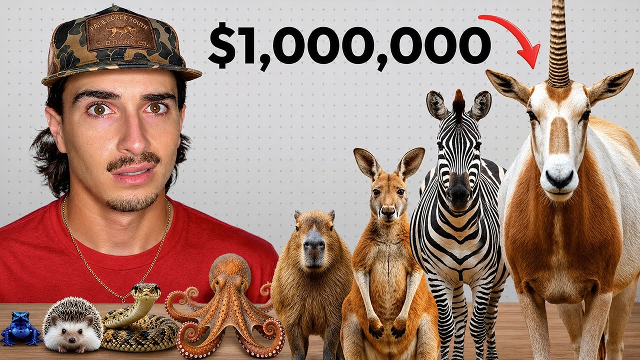 I Bought Every Exotic Animal Off the Dark Web…