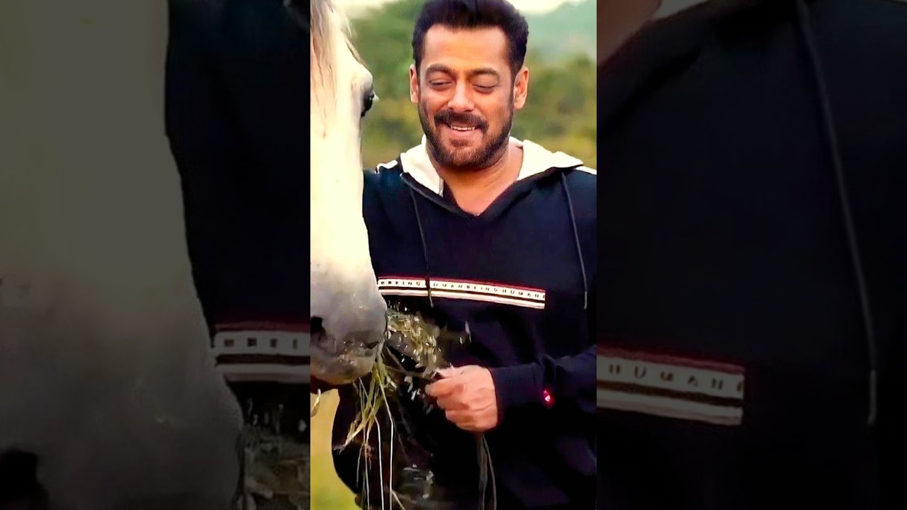 One And Only Salman Khan..!! ❣️❣️😍😍 #shorts #salmankhan #ytshorts