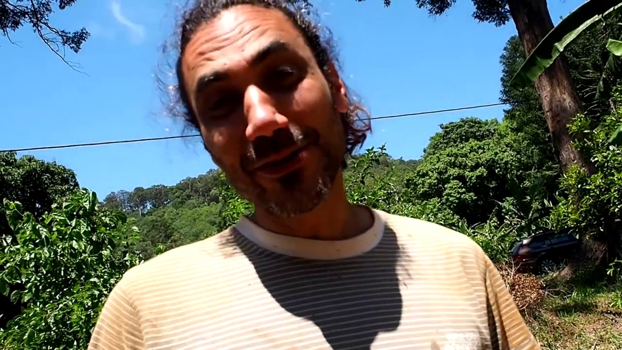 Natural Building Course - Noosa, Queensland - Australia - Oct 2016