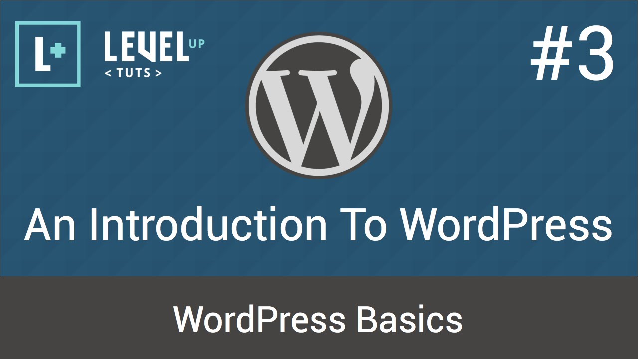 WordPress Basics #3 - An Introduction To WordPress