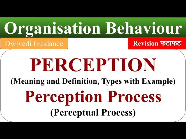 Understanding Perception: The Process and Its Implications in ...