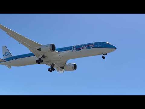 KLM Boeing 787-10 Dreamliner (PH-BKA) [100 Years Livery] Landing at LAX