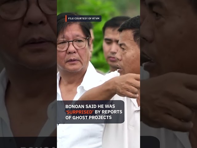 DPWH chief Bonoan will stay; now wants internal cleansing in his agency