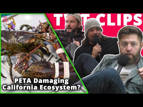 Forrest Galante Explains Why Invasive Species Are A Problem