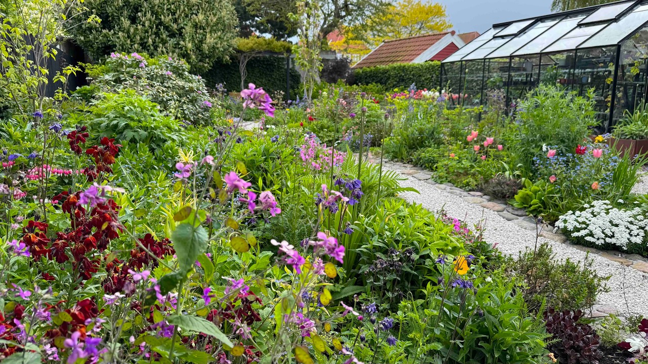 May Garden Tour | Perennials, Cottage Garden Flowers & Plant Ideas