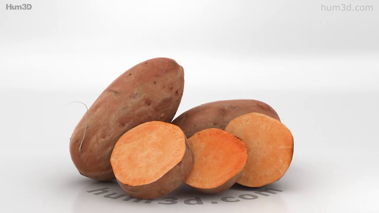 Sweet Potato 3D model by 3DModels.org
