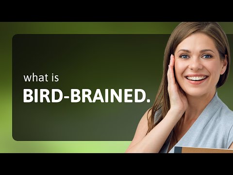 Understanding "Bird-brained": A Dive into English Idioms