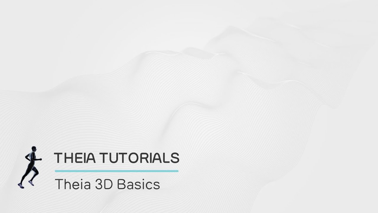 Theia3D Basics
