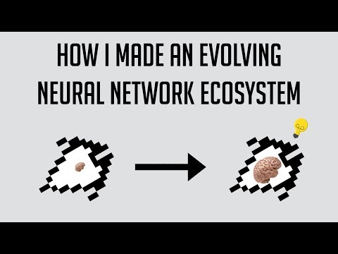How I created an evolving neural network ecosystem
