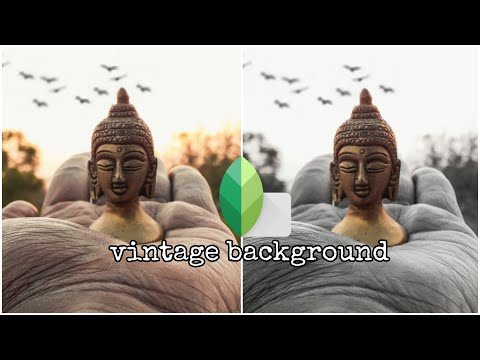 HOW TO MAKE BACKGROUND BLACK AND WHITE | VINTAGE BACKGROUND | SNAPSEED TUTORIAL