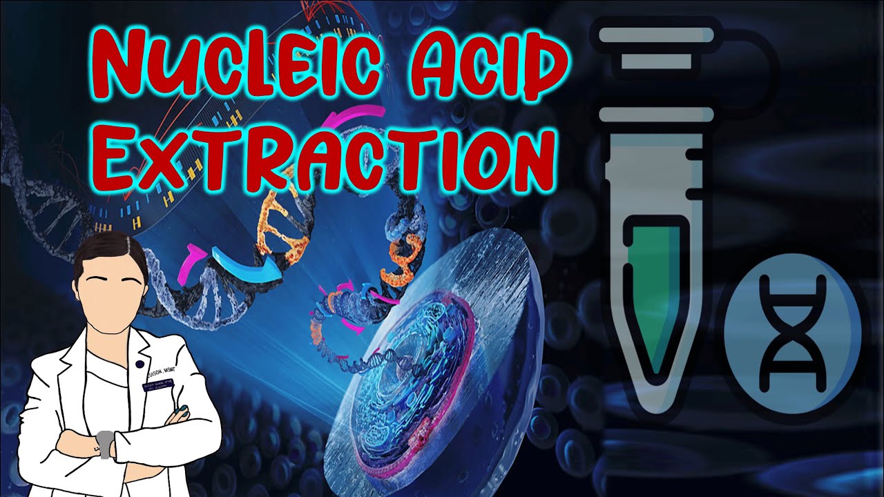 NUCLEIC ACID EXTRACTION METHODS