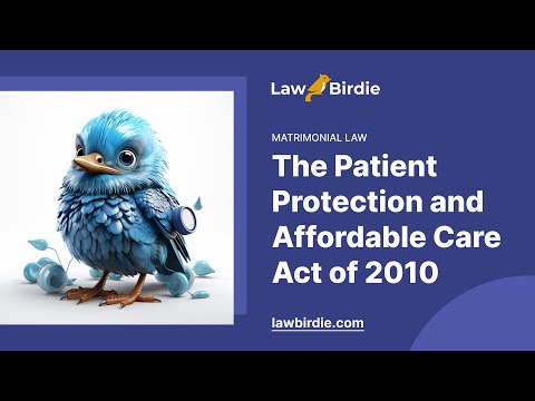 The Patient Protection and Affordable Care Act of 2010 - Essay Example