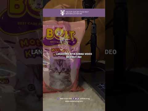 Kucing suka nggak sama Dry Food Bolt Mother & Kitten All Variant 500 Gr ini? | Radio Kucing #shorts
