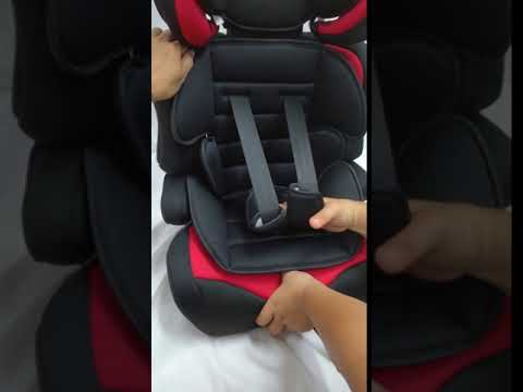 How To Adjust SAFETY BELT For Little One Exclusive CSD Car Seat