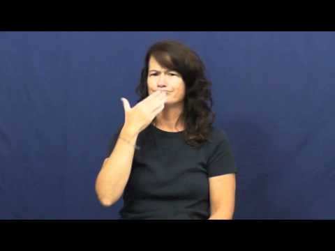 American Sign Language ASL Video Dictionary - kept up