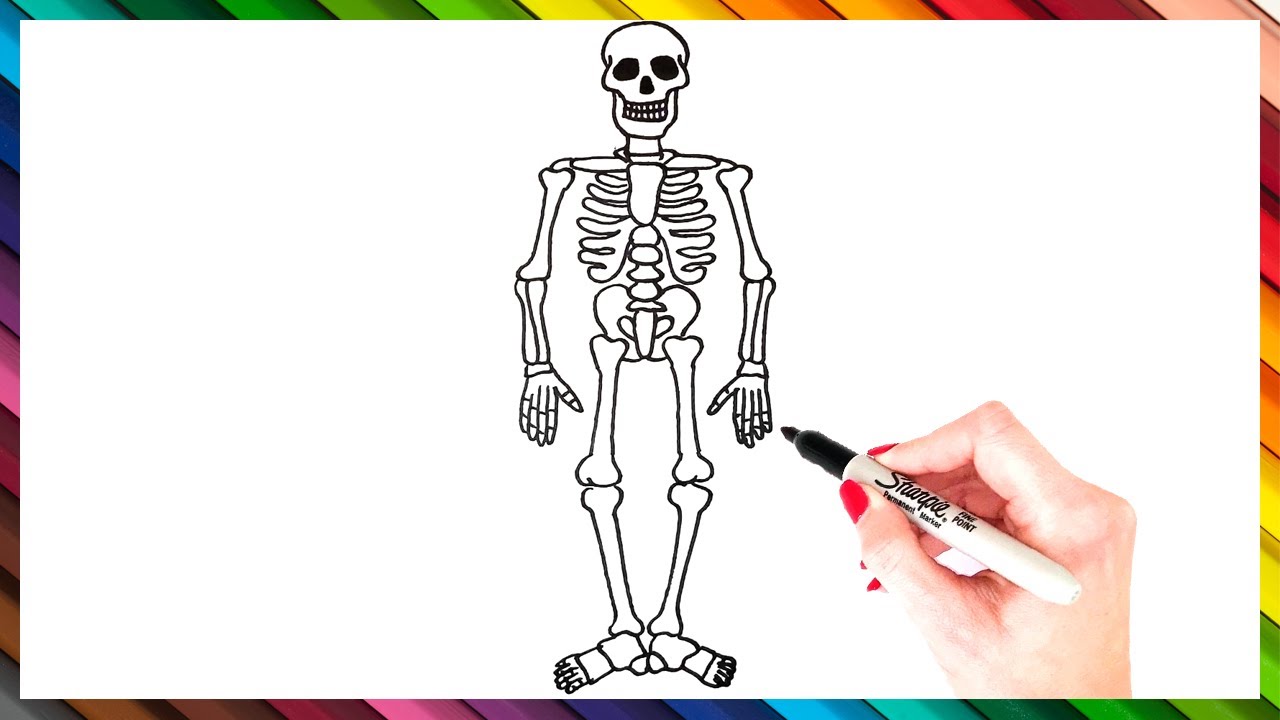 How To Draw A Skeleton Step By Step | Skeleton Drawing EASY | Super Easy Drawing Tutorials