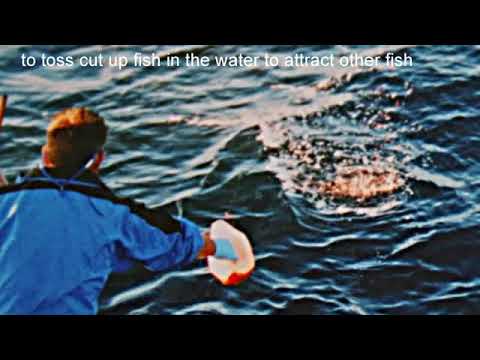 chum meaning | Vocabulary for Kids | Children's Dictionary | Learn English Vocabulary