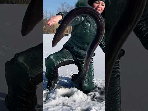 Eel catch of the day! Girl's cooking triumph