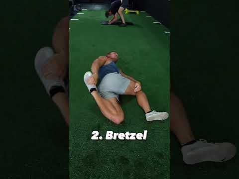 3 Mobility Exercises for Low Back Pain!