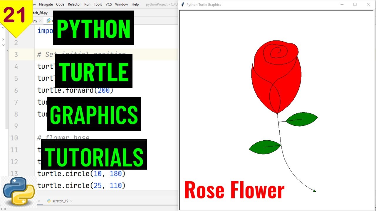 Draw Rose Flower 🌹 with Python Turtle | Python Turtle Graphics Tutorial #21