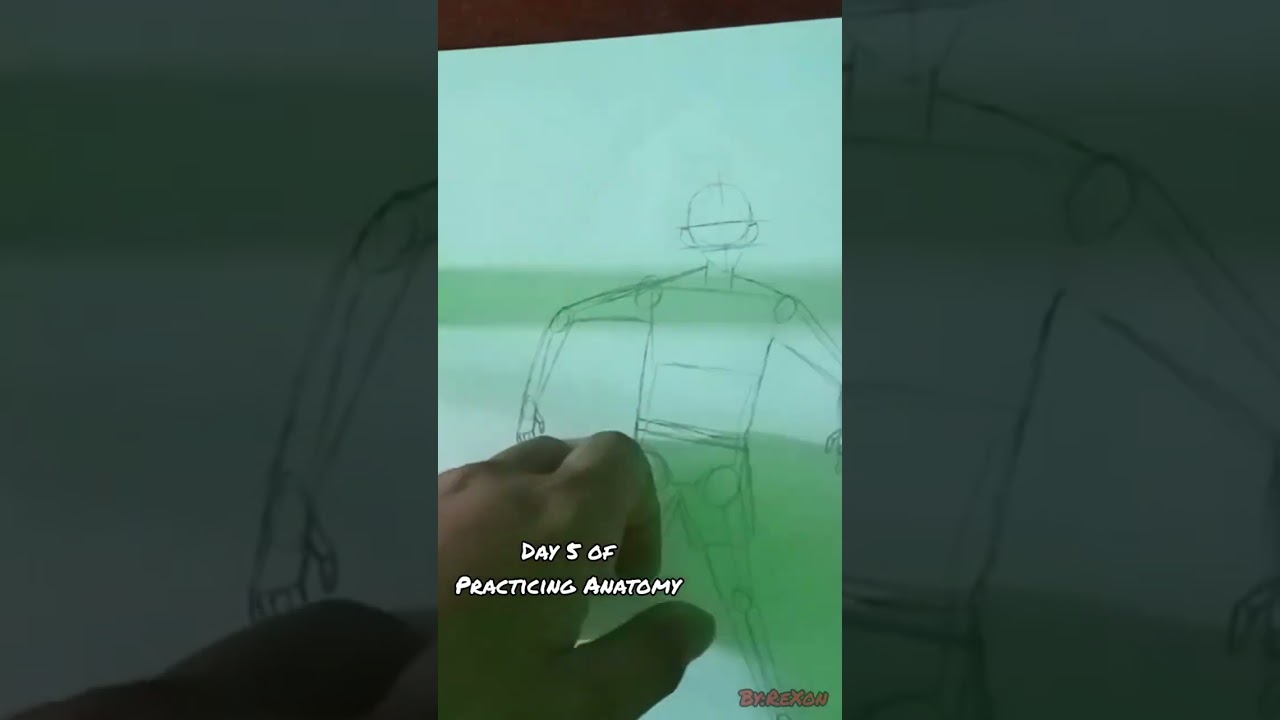 Day 5 Practicing Anatomy #anime #art