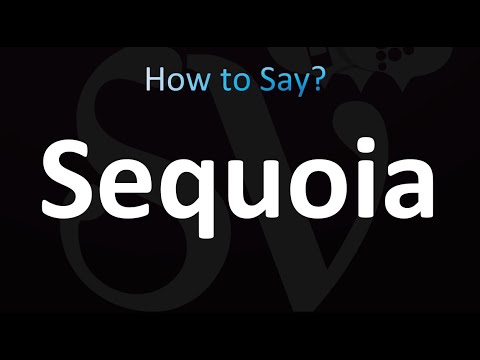 How to Pronounce Sequoia (correctly!)