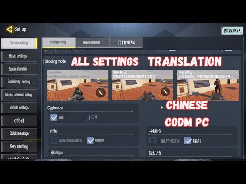 Chinese COD Mobile Pc Version Translation of all the Settings | Call of Duty Mobile China