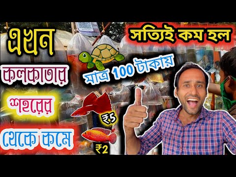 প্রথম বার শ্রীরামপুর হাটে মাত্র ₹100 টাকা aquarium 😲 serampore pet market serampore aquarium market