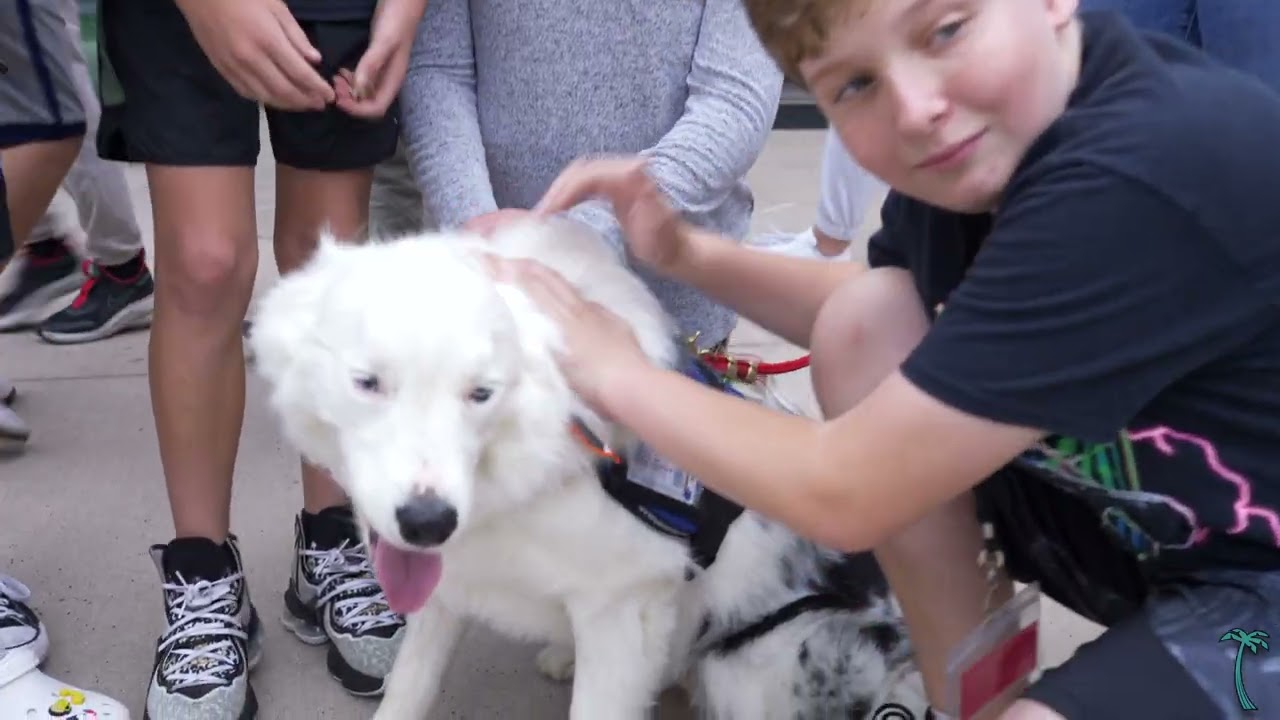 CUSD State of the District - (1min)