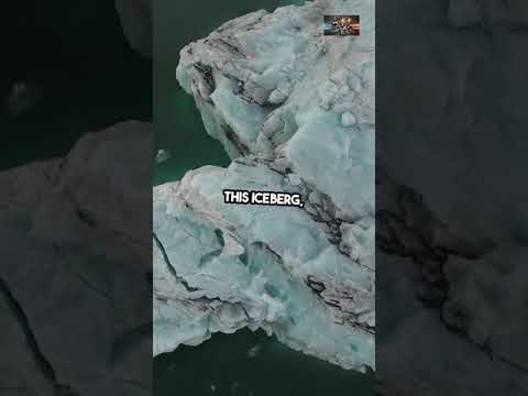 THE WORLD'S LARGEST ICEBERG A23A DRIFTS NEAR SOUTH GEORGIA #BBCNEWS
