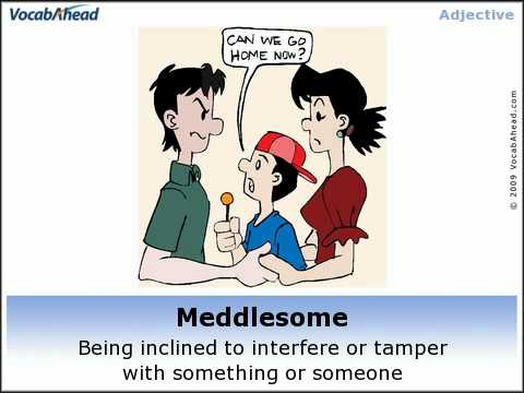 SAT vocb: meddlesome (adj)