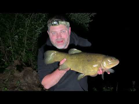 The Tench Social - Dorchester Lake 2022