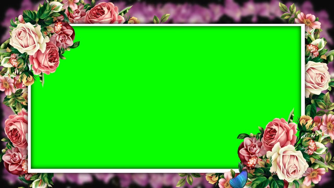 FULL FLOWER BORDER FRAME GREEN SCREEN @GREENSCREEN1