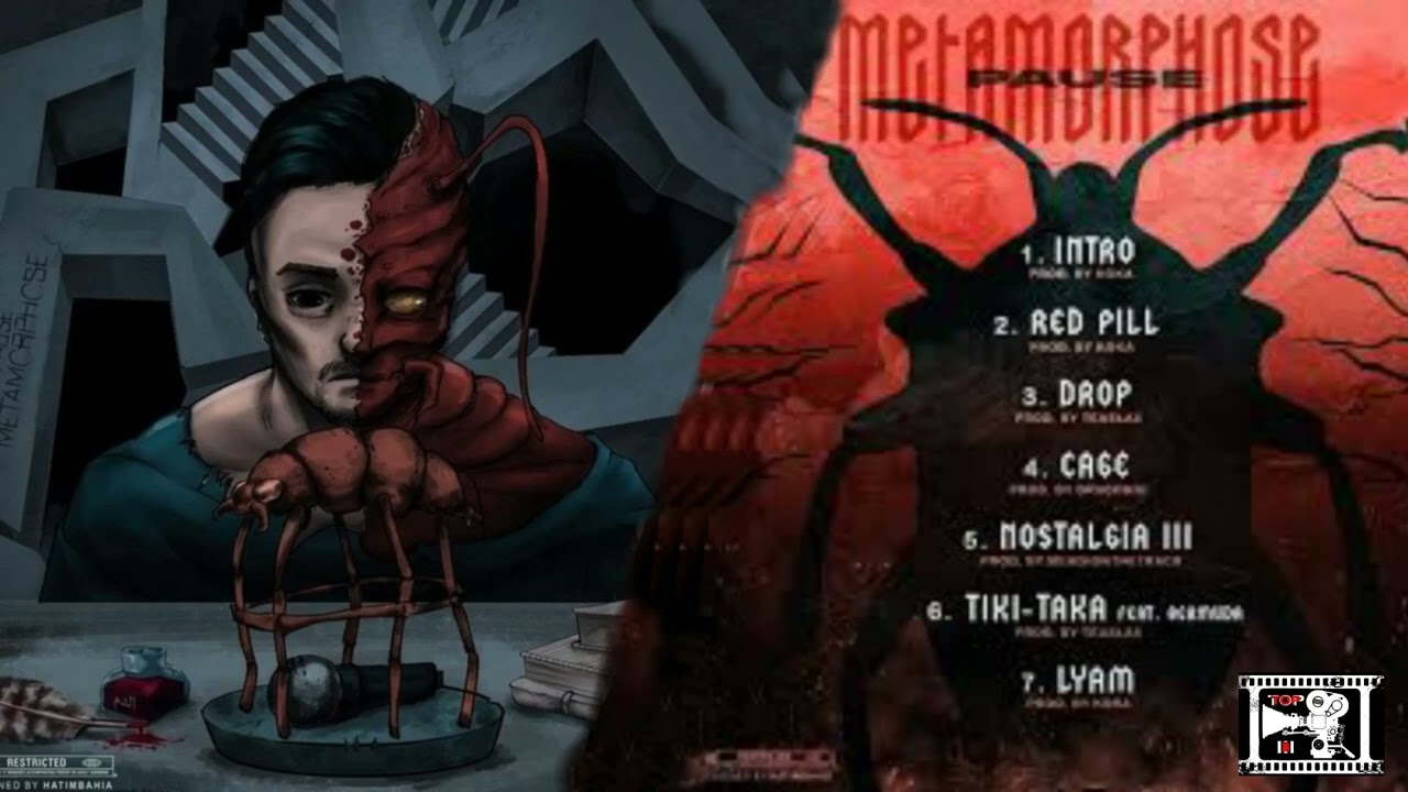 PAUSE flow  METAMORPHOSE