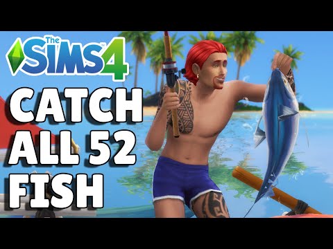 How And Where To Catch Every Fish | The Sims 4 Guide