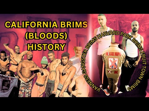 From Apple Hats to Brims: Evolution of California's Blood Gangs
