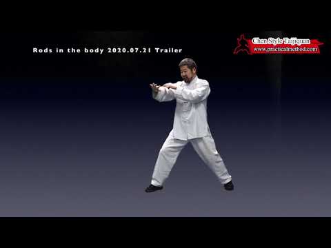 Rod In The Body 2020.07.21-Trailer