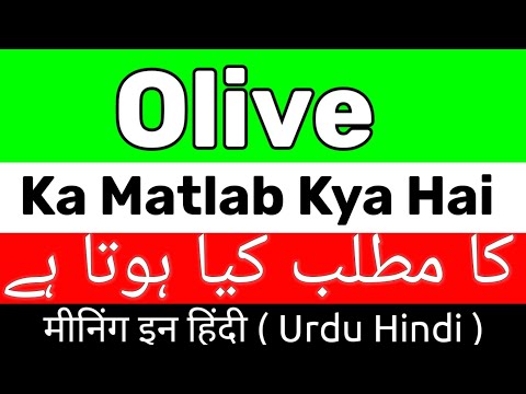 Olive Meaning In Urdu | Olive Meaning In Hindi | Olive Ka Matlab Kya Hai | Olive Ka Meaning Kya Hai