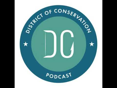 EP 342: Texas Land Commissioner Dawn Buckingham, M.D.