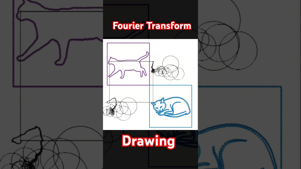 Fourier Transform Drawing #science #maths #mathematics #cat #drowing