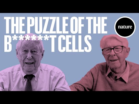 The puzzle of the B******T cells