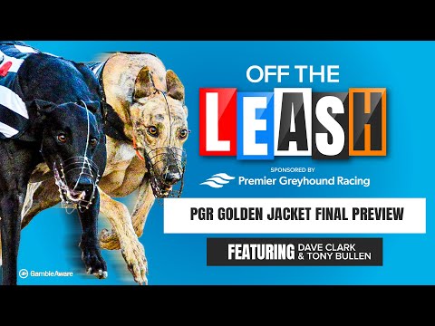 PGR Golden Jacket Final Preview | Off The Leash | Greyhound Tips | Racing Post