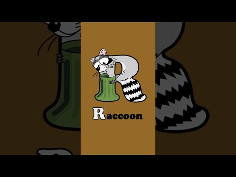 Animals that start with R - Raccoon, Ram, Rat, Raven, Reindeer, Rhinoceros, Rooster #Shorts
