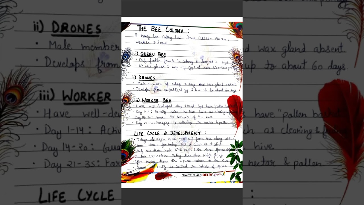 Zoology Semester 6 Project Apiculture 📑