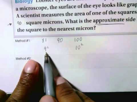 Algebra Movie Lesson 1-3