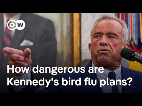 Why scientists warn against the US plans to let the bird flu virus spread unchecked | DW News