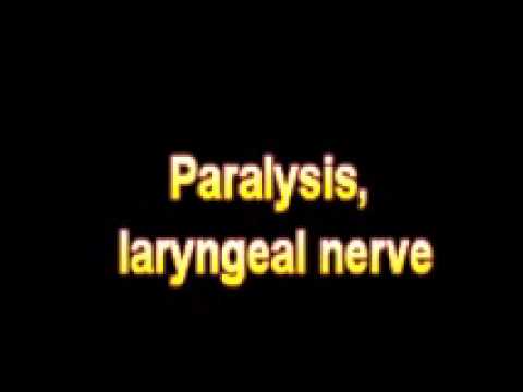 What Is The Definition Of Paralysis, laryngeal nerve Medical School Terminology Dictionary