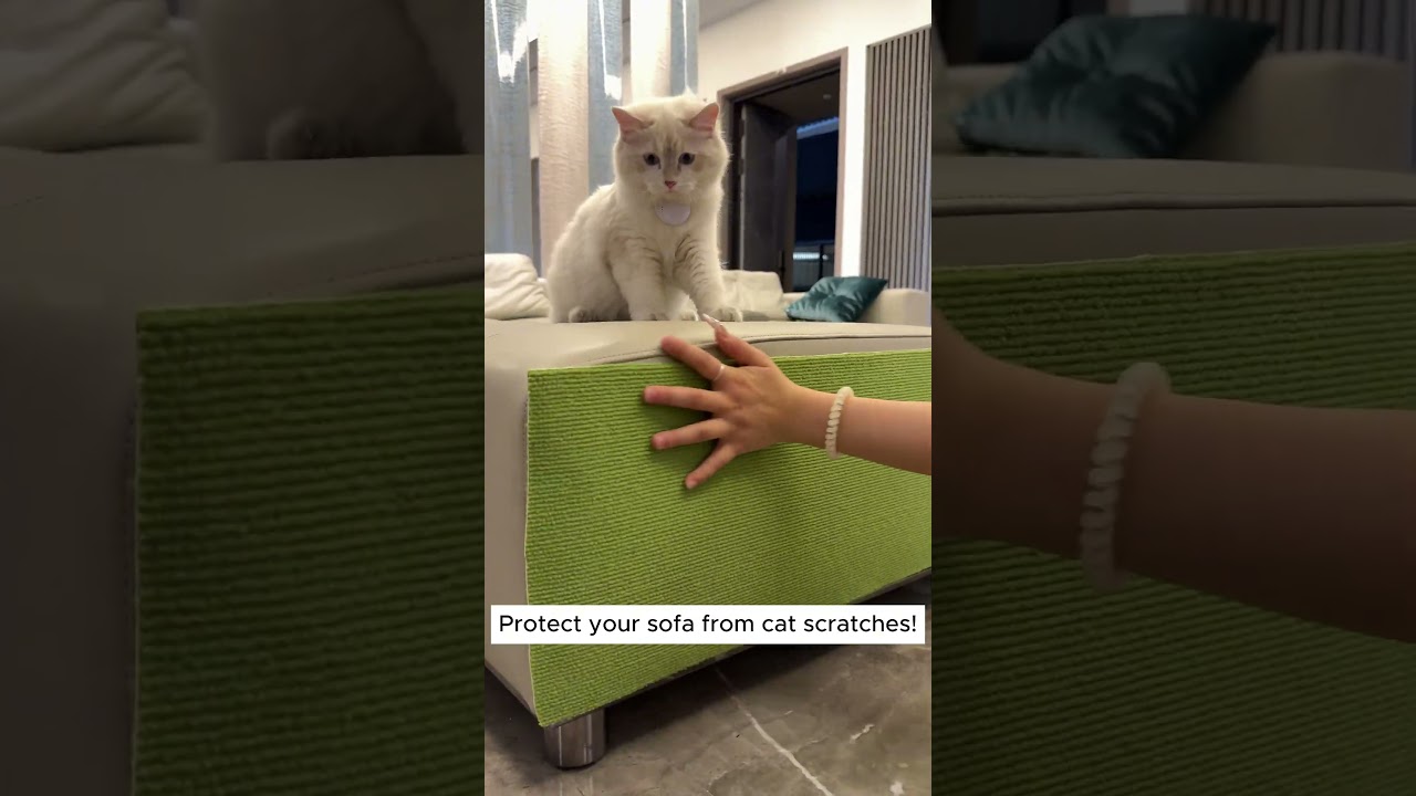 Protect Your Sofa from Cats: Ultimate Anti-Scratch Furniture Protector!