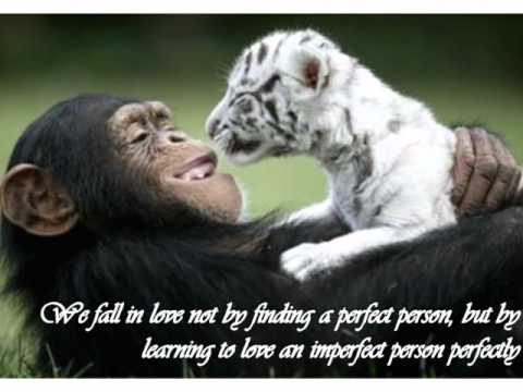 All Time Best Love and Family Quotes
