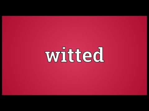 Witted Meaning